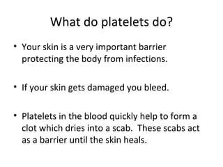 Defense Mechanisms | PPT | Blood Disorders | Diseases and Conditions