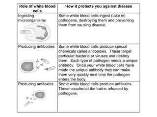 Defense Mechanisms | PPT | Blood Disorders | Diseases and Conditions