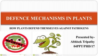 defensemechanismsinplants-180308104711.pptx