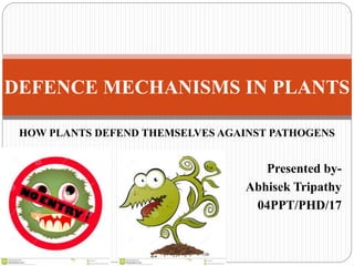 Defense mechanisms in plants | PPTX