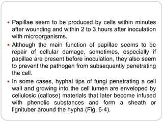 Defense mechanisms in plants | PPTX