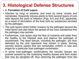 Defense mechanisms in plants | PPTX