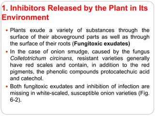 Defense mechanisms in plants | PPTX