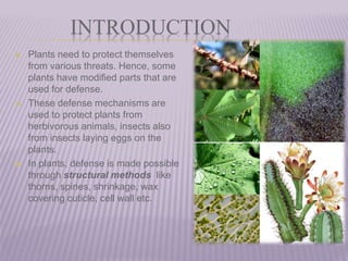 defense mechanisms in plants.pptx