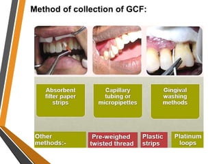 Defense mechanisms of gingiva 4 th seminar | PPTX