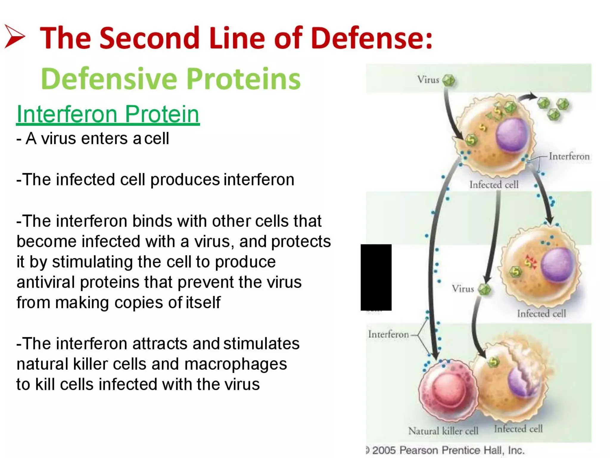 Defense mechanisms of the body cna | PPT