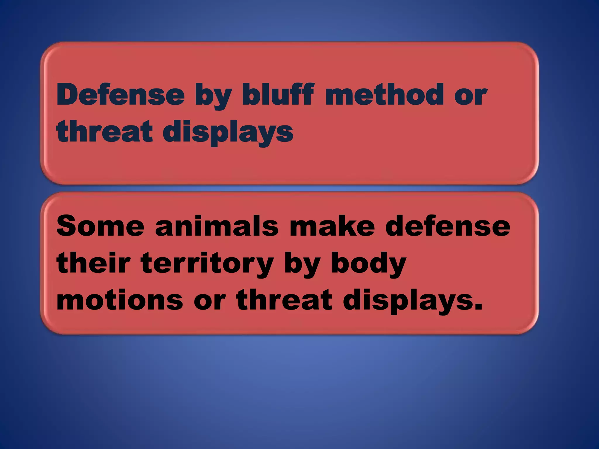 defense of animal in territory..pptx
