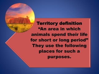 defense of animal in territory..pptx