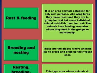 defense of animal in territory..pptx
