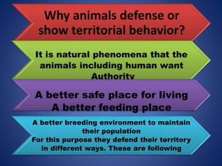 defense of animal in territory..pptx