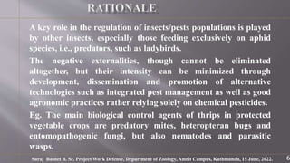 natural enemies on vegetable garden | PPTX