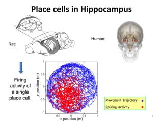 Statistical Analysis of Neural Coding | PDF