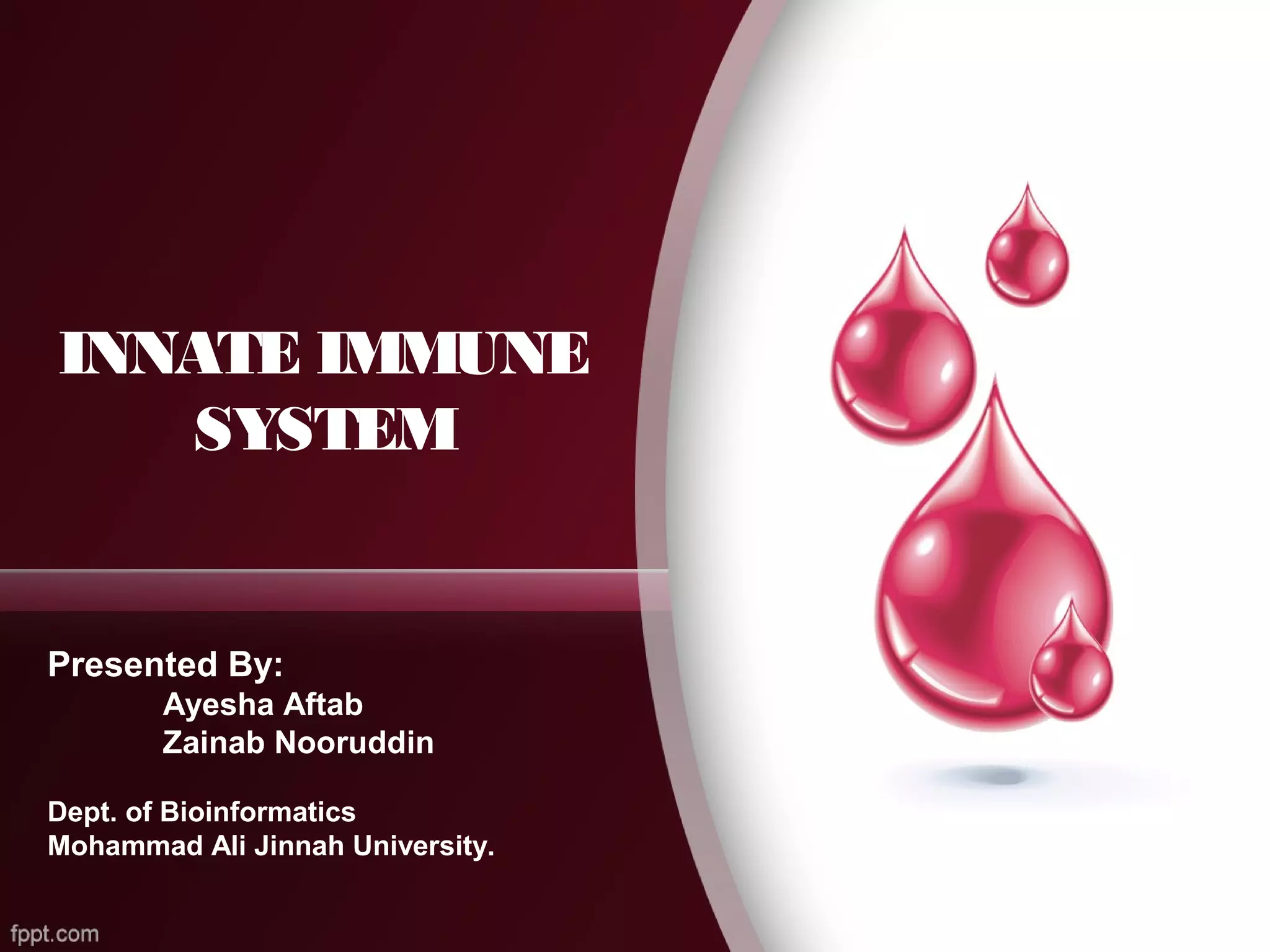 Innate Immune System | PPT