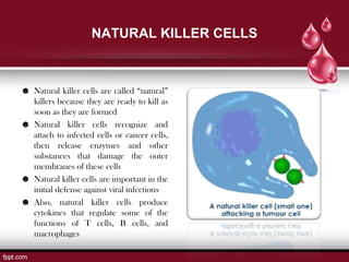 Innate Immune System | PPT
