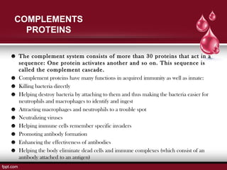 Innate Immune System | PPT