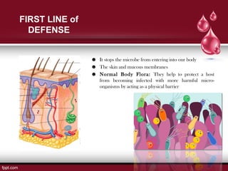 Innate Immune System | PPT