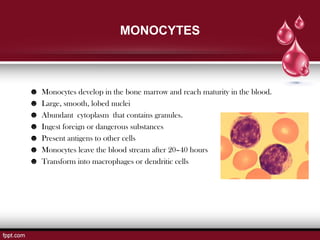 Innate Immune System | PPT