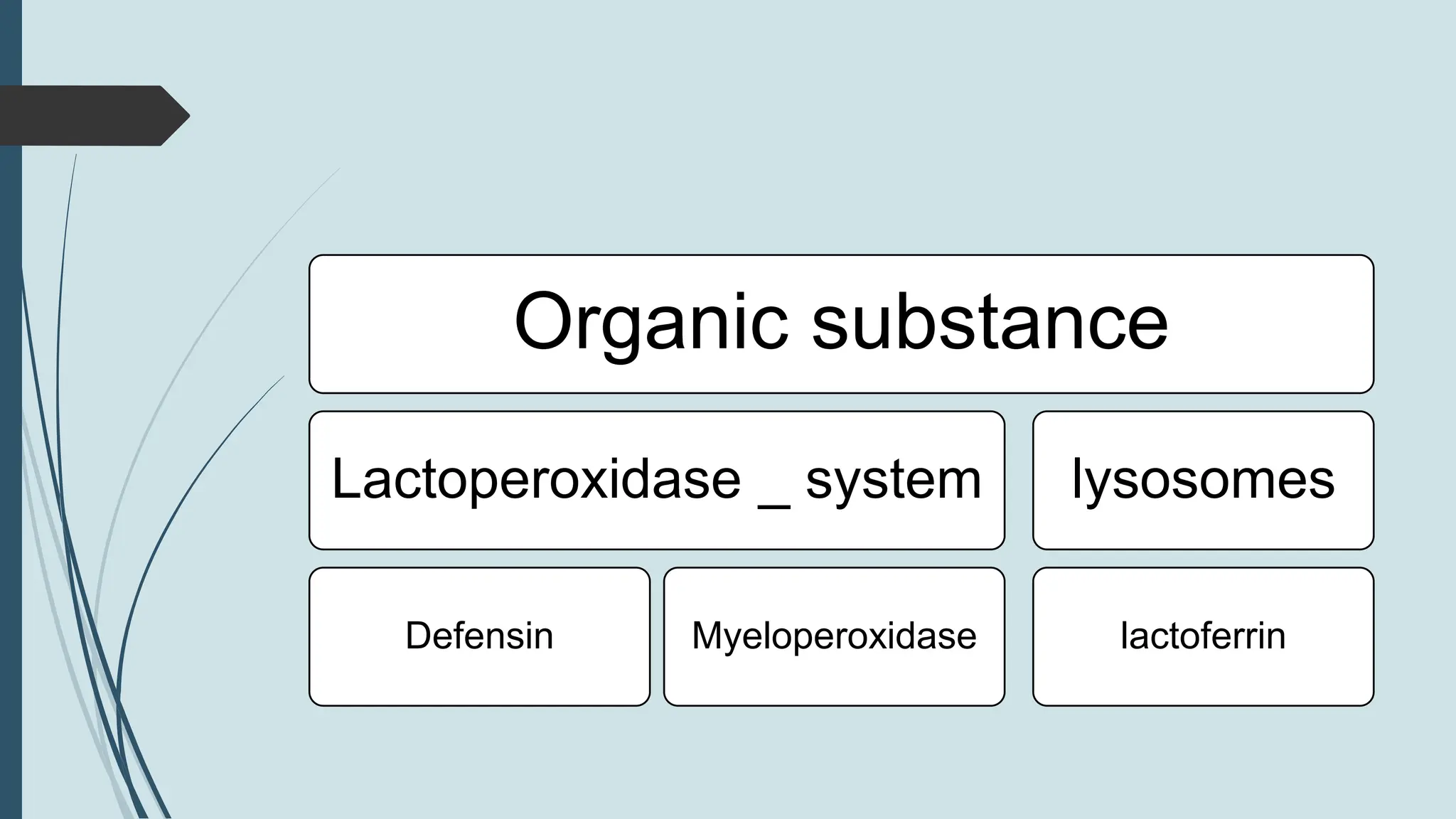 defens mتتتتتتتتechanism of gingiva.pptx