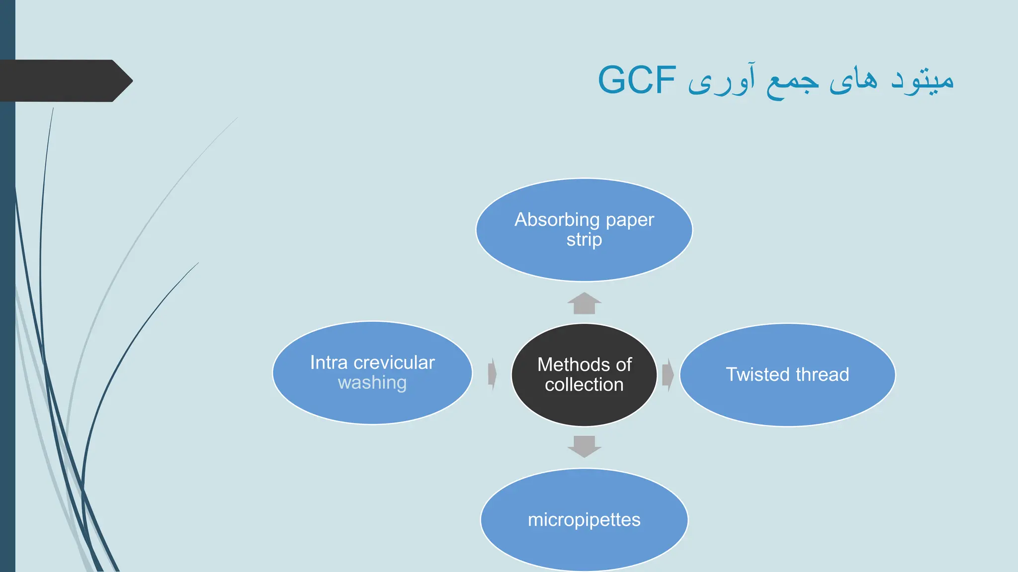 defens mتتتتتتتتechanism of gingiva.pptx