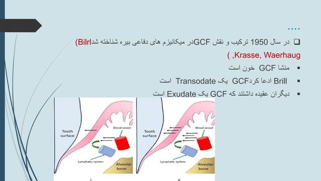 defens mتتتتتتتتechanism of gingiva.pptx