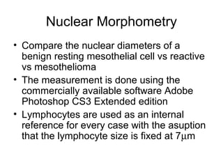 Deferential diagnosis of mesothelial proliferations and neoplasms | PPT