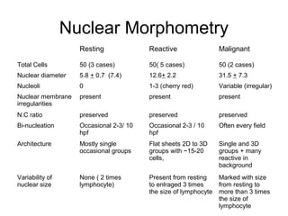 Deferential diagnosis of mesothelial proliferations and neoplasms | PPT