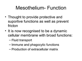 Deferential diagnosis of mesothelial proliferations and neoplasms | PPT