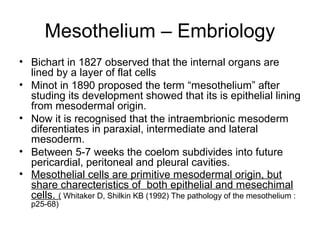 Deferential diagnosis of mesothelial proliferations and neoplasms | PPT