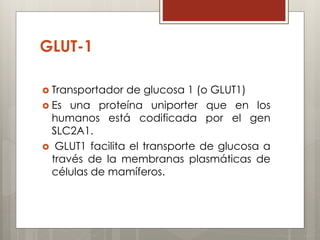 Deficiencia de glut 1 | PPTX