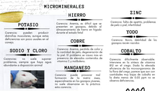 DEFICIENCIAS NUTRICIONALES EN CUYES Y CONEJOS (1).pdf