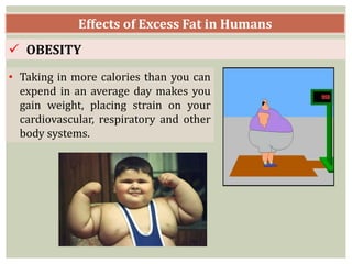 Deficiencies and Excesses of Fats | PPTX