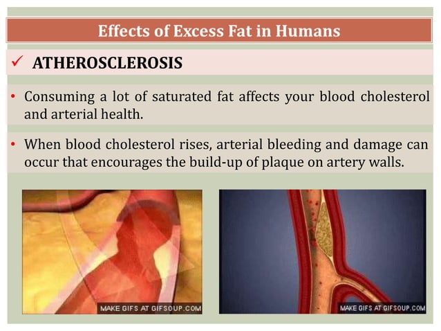 Deficiencies and Excesses of Fats | PPTX | Skin and Dermatology ...