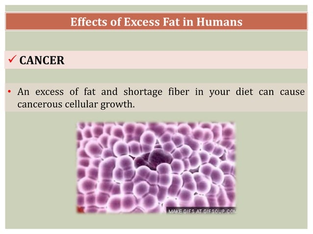 Deficiencies and Excesses of Fats | PPTX | Skin and Dermatology ...