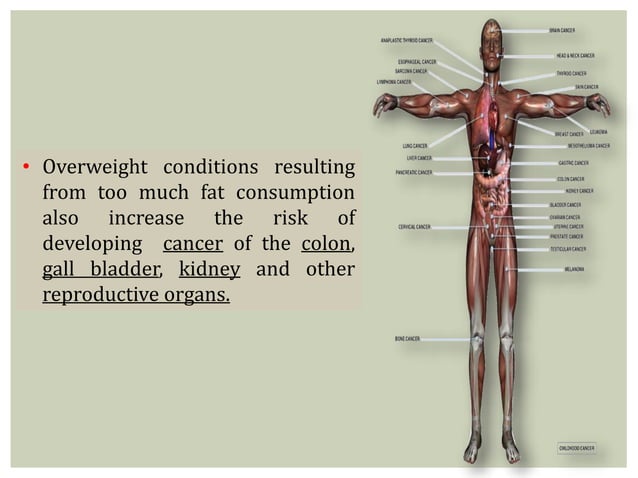 Deficiencies and Excesses of Fats | PPTX | Skin and Dermatology ...