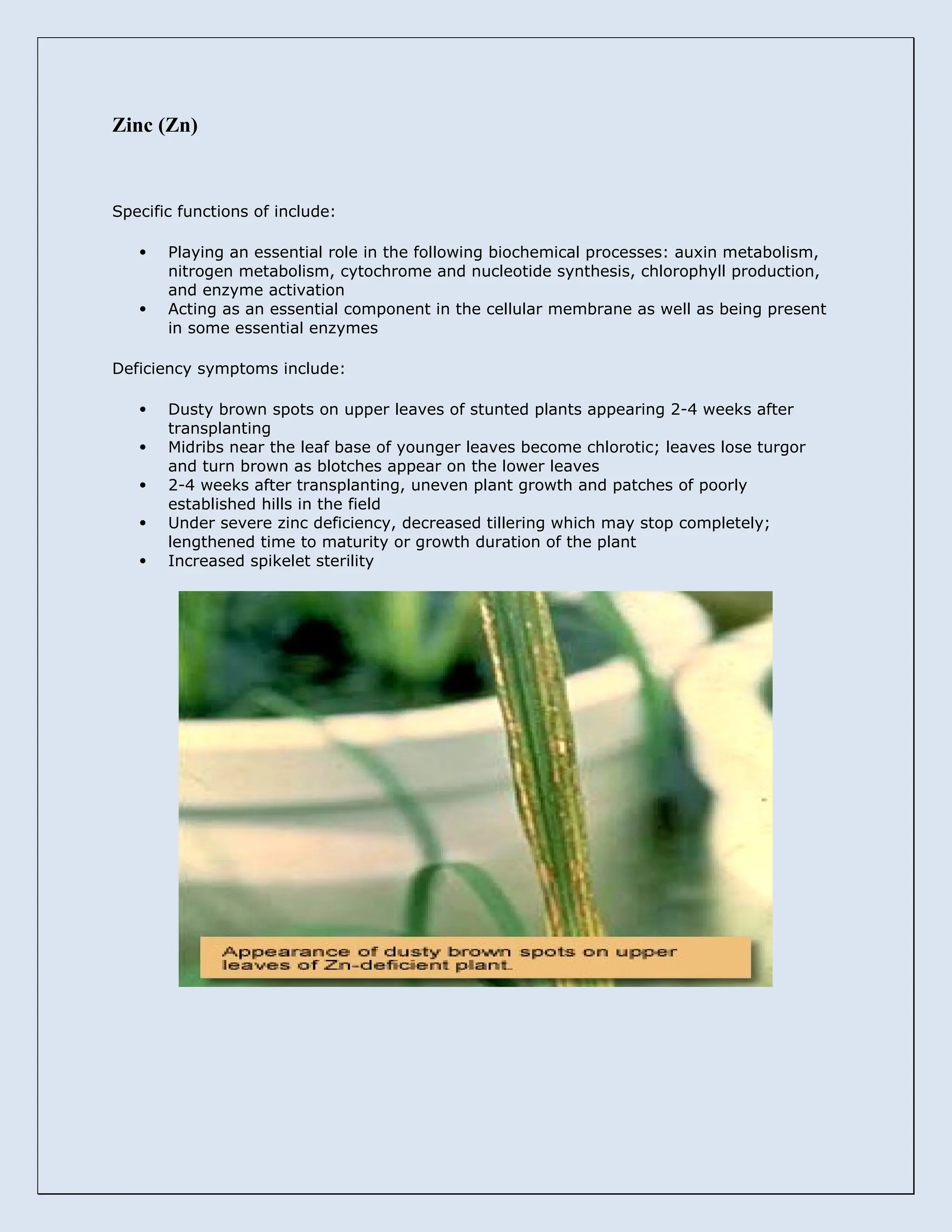 Deficiency and Toxicity Symptoms in Rice Plant.docx
