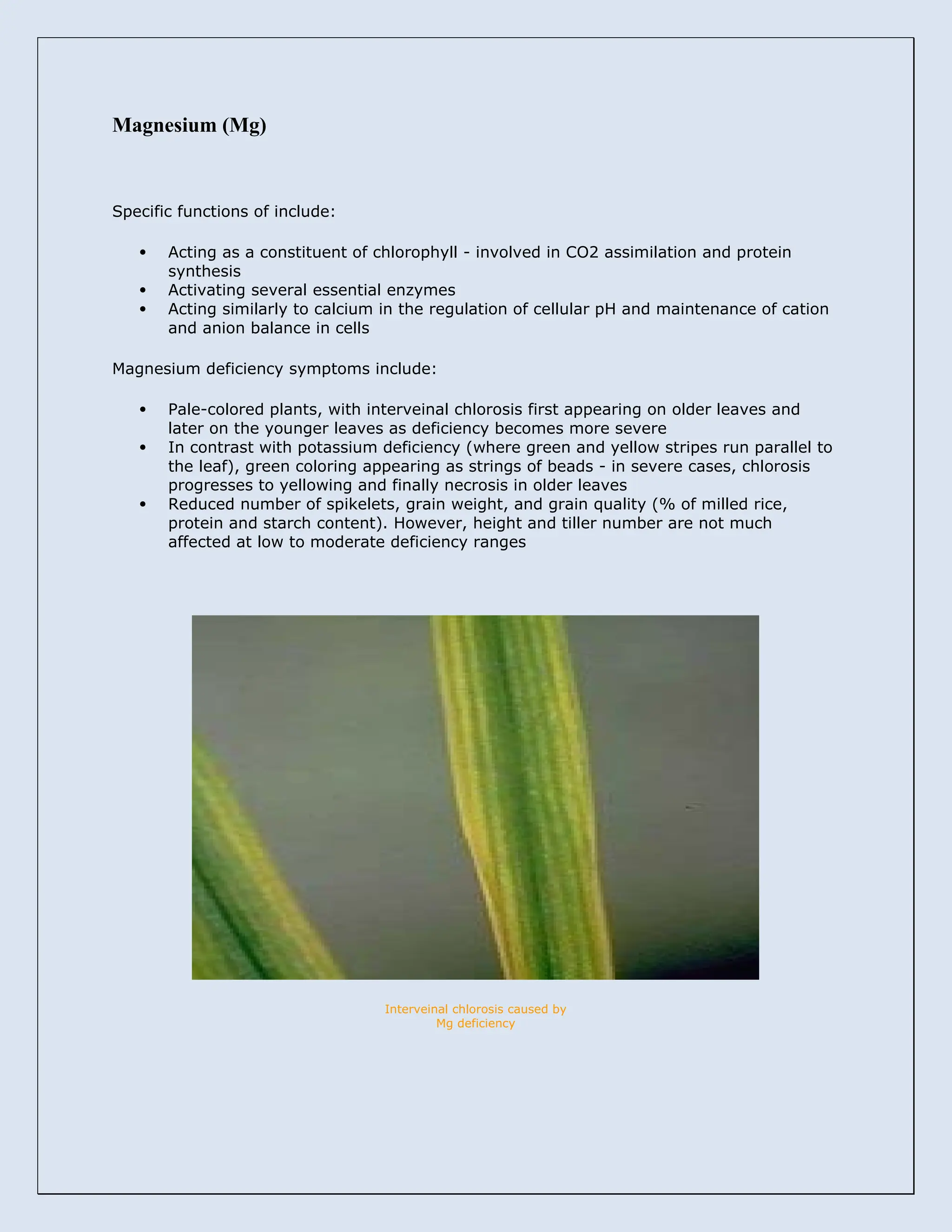 Deficiency and Toxicity Symptoms in Rice Plant.docx