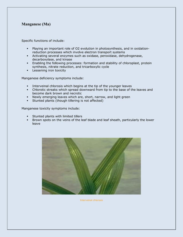 Deficiency and Toxicity Symptoms in Rice Plant.docx