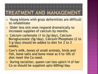 DEFICIENCY DISEASES IN FELINE AND ITS TREATMENT REGIMEN | PPTX