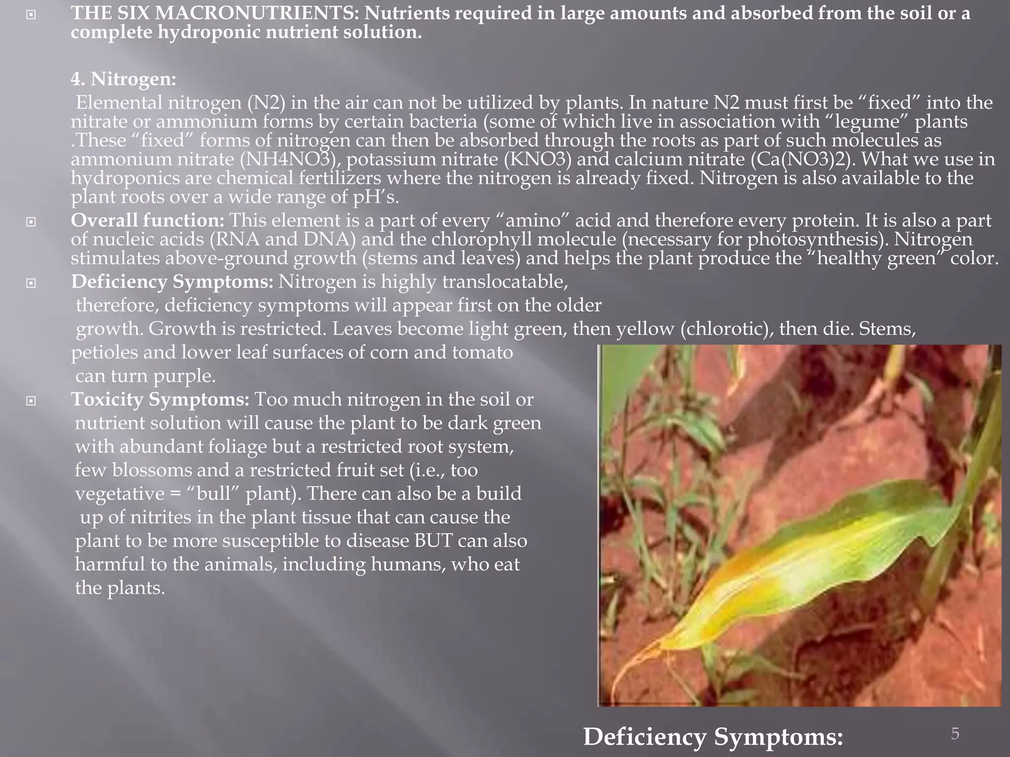 Deficiency symptoms, & critical level of different plant nutrient | PPTX