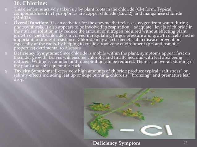 Deficiency symptoms, & critical level of different plant nutrient | PPTX