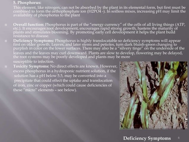Deficiency symptoms, & critical level of different plant nutrient | PPTX