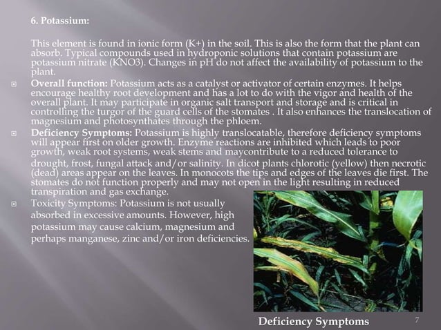 Deficiency symptoms, & critical level of different plant nutrient | PPTX