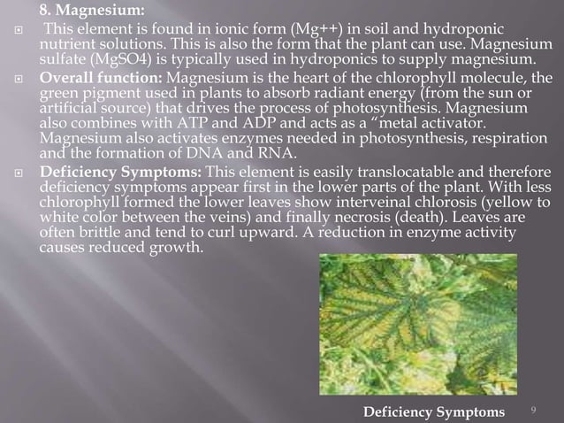 Deficiency symptoms, & critical level of different plant nutrient | PPTX