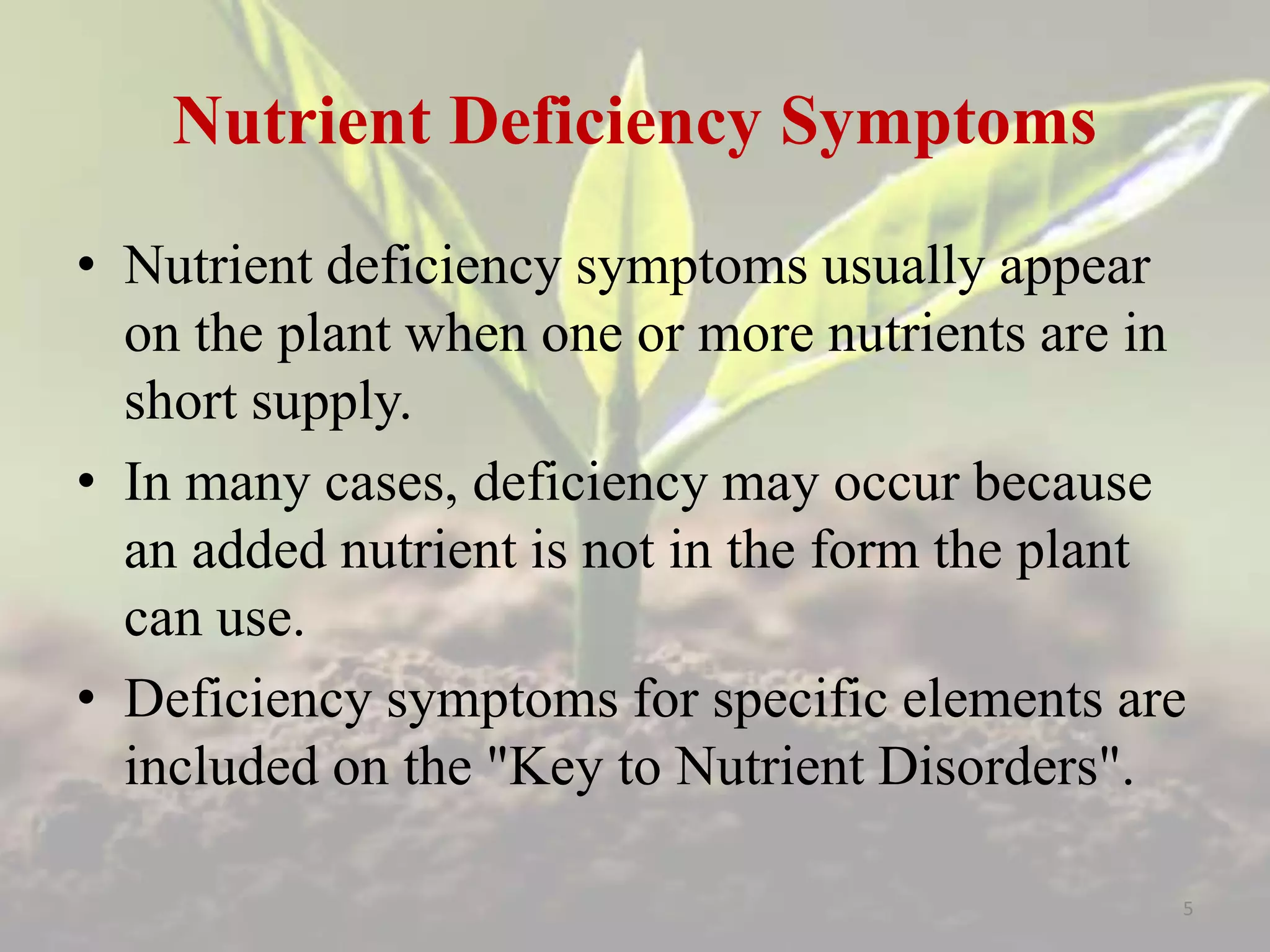 Deficiency symptoms of plant nutrients id 19 mshfs025,27,34,38 ssac-723 ...