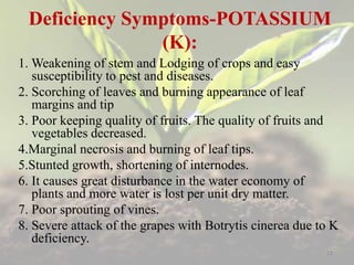 Deficiency symptoms of plant nutrients id 19 mshfs025,27,34,38 ssac-723 ...