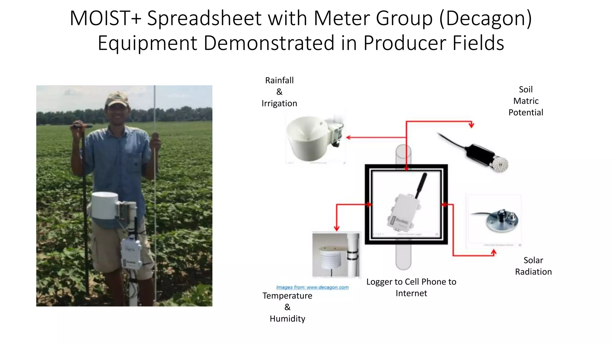 Deficit irrigation of row crops | PPTX