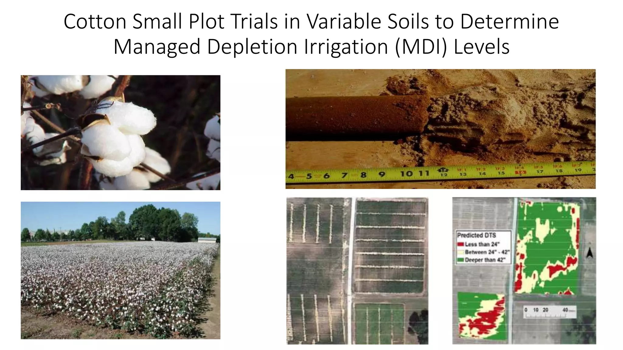 Deficit Irrigation Of Row Crops Pptx