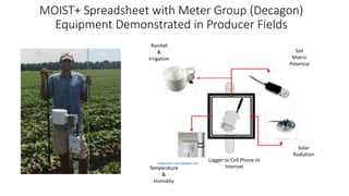 Deficit irrigation of row crops | PPTX