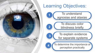 Deficits in perception | PPTX