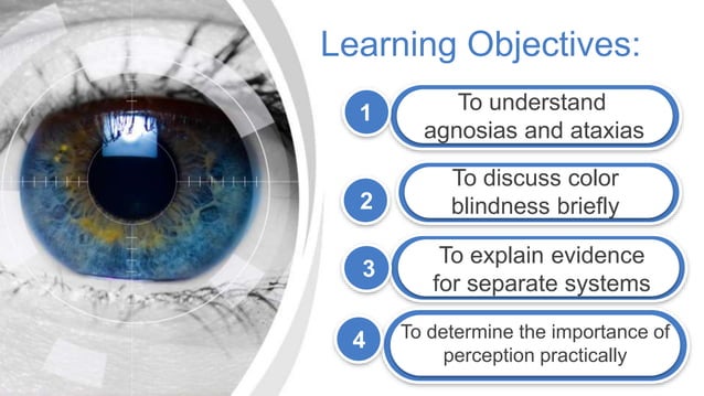 Deficits in perception | PPTX | Eye and Vision Conditions | Diseases ...